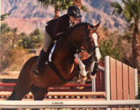 Westfalen NA | Stallions